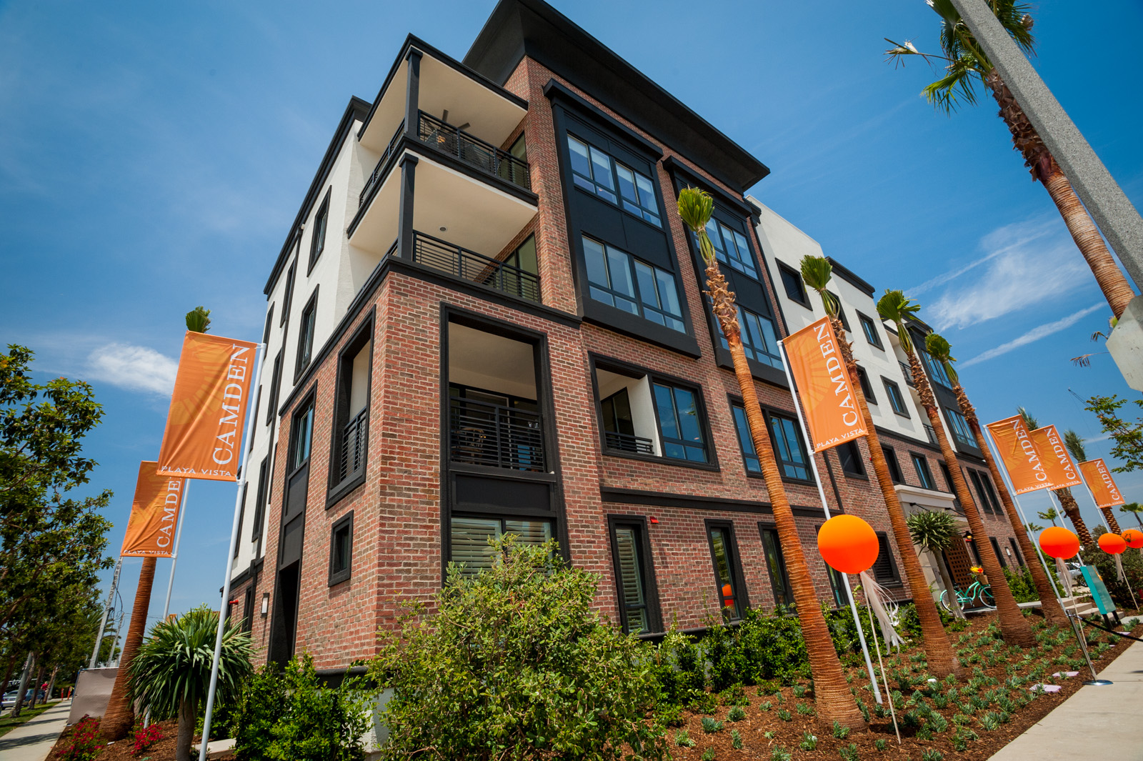 Camden's Debut - Playa Vista