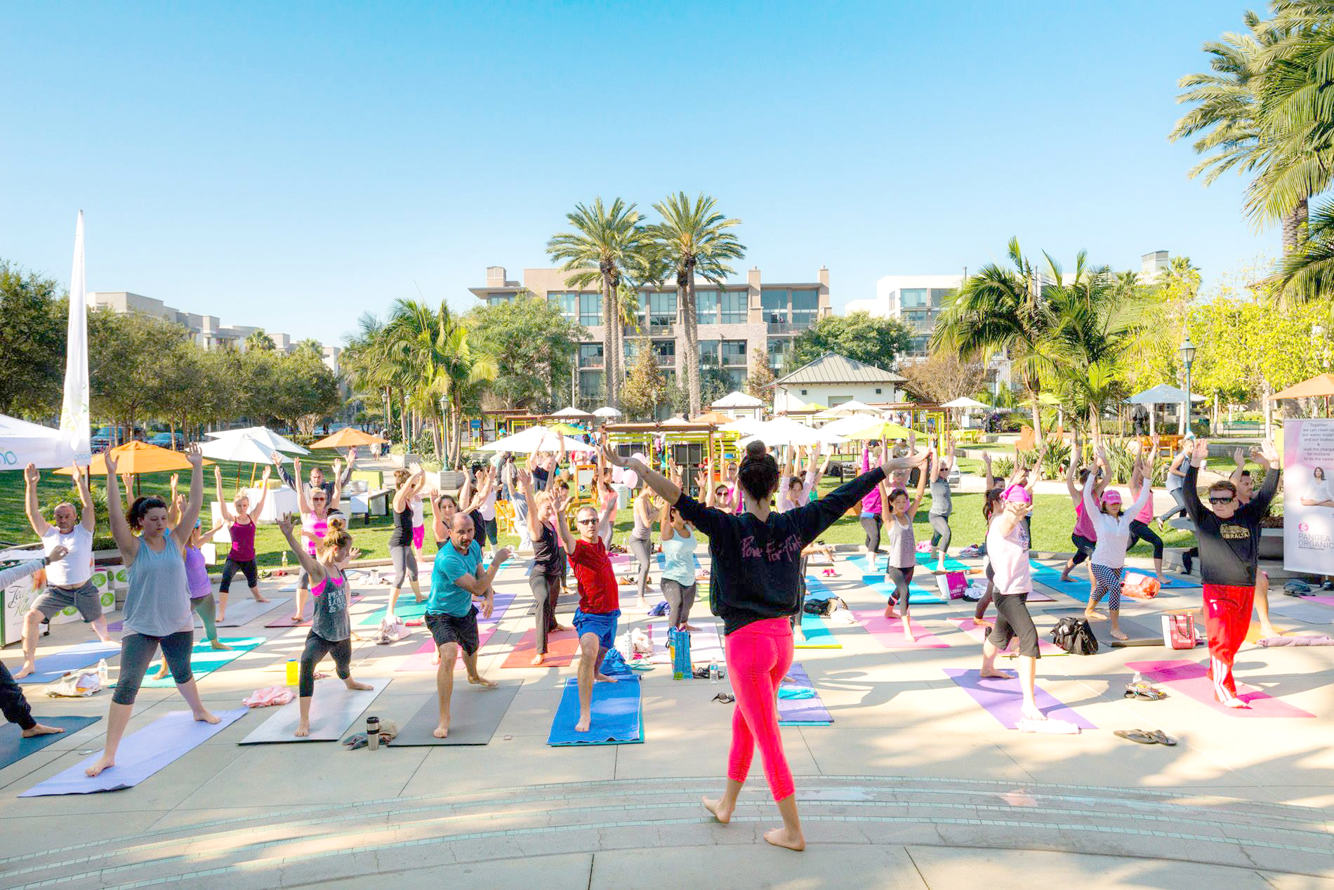 Fun Happens Here | What's Up Playa Vista